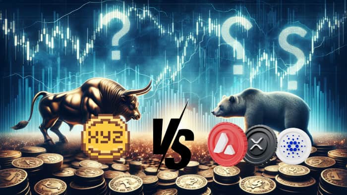 XYZ's Meme Power: How This Coin Could Unleash a over 10,000% Gain and ...